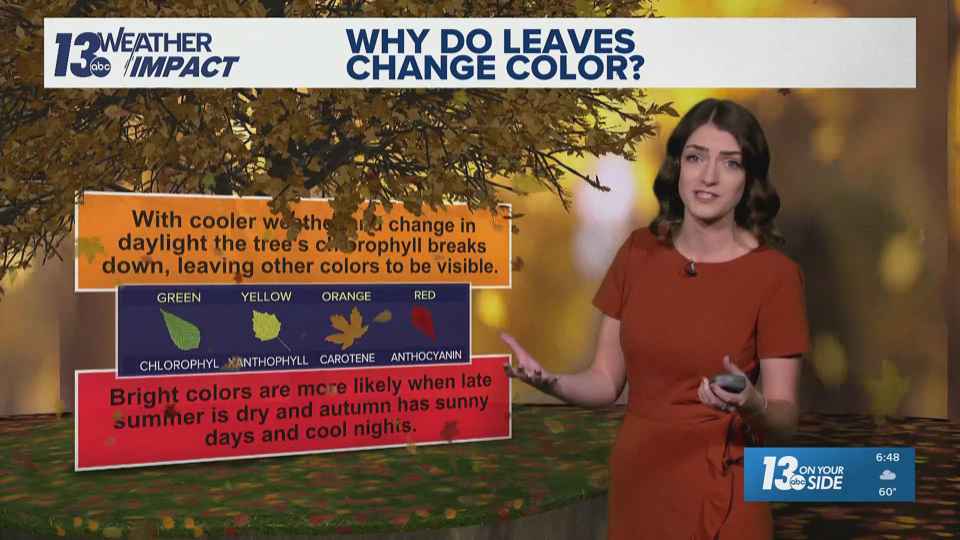 Dry weather could dull fall colors