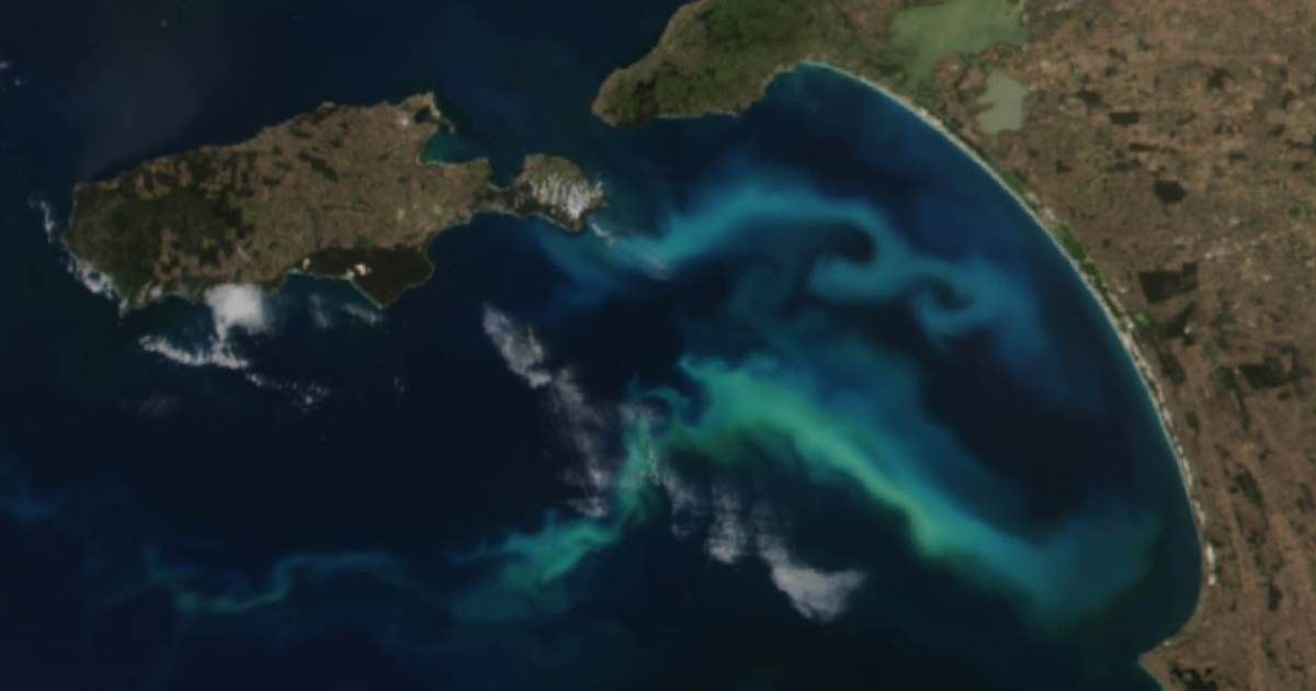 NASA Noticed an Unusual Glow in Southern Australian Waters — Experts ...