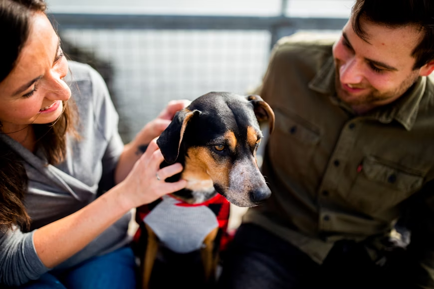 5 Things Dogs Should Never Eat and 5 That Are Good for Them