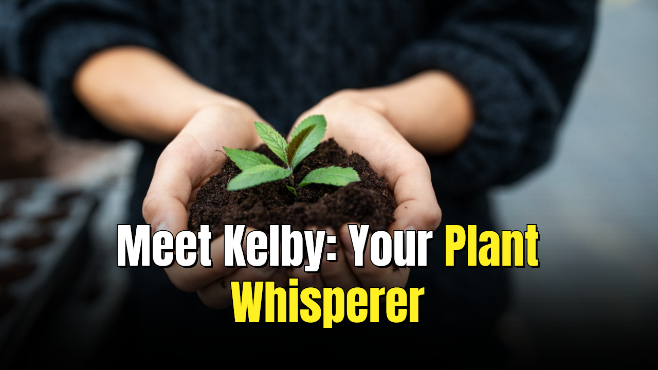 Gardyn Indoor Hydroponic Garden Review: AI Meets Home Gardening