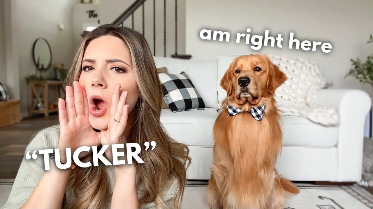 When You Call Your Dog But He’s Already There