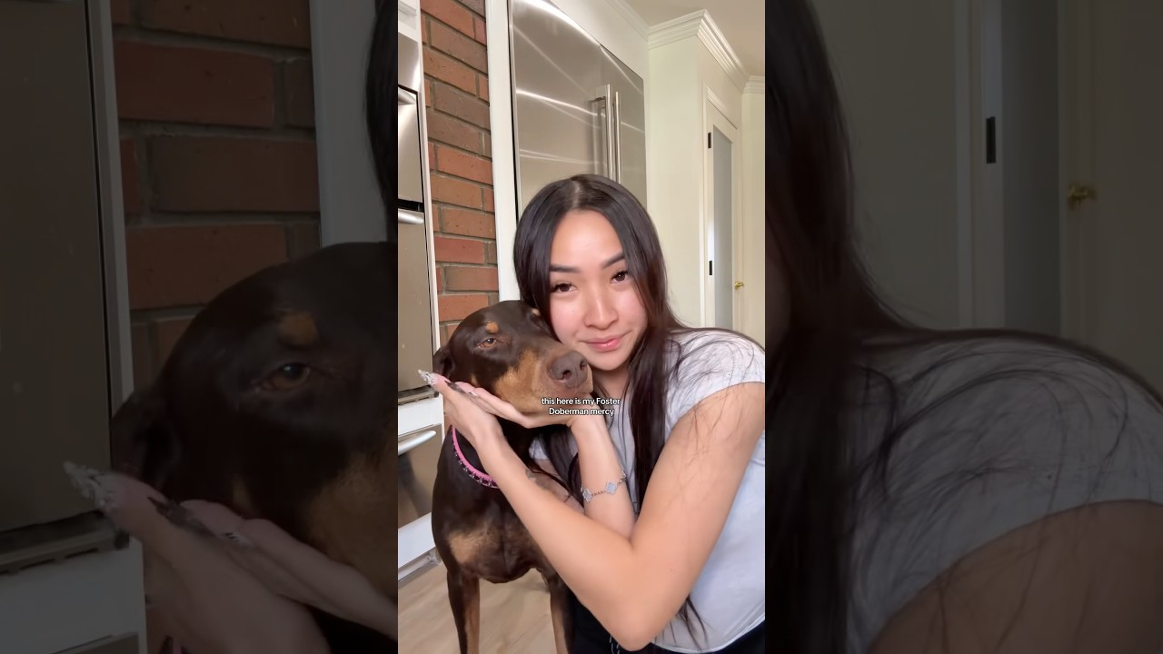 Feeding My Foster Dog Routine