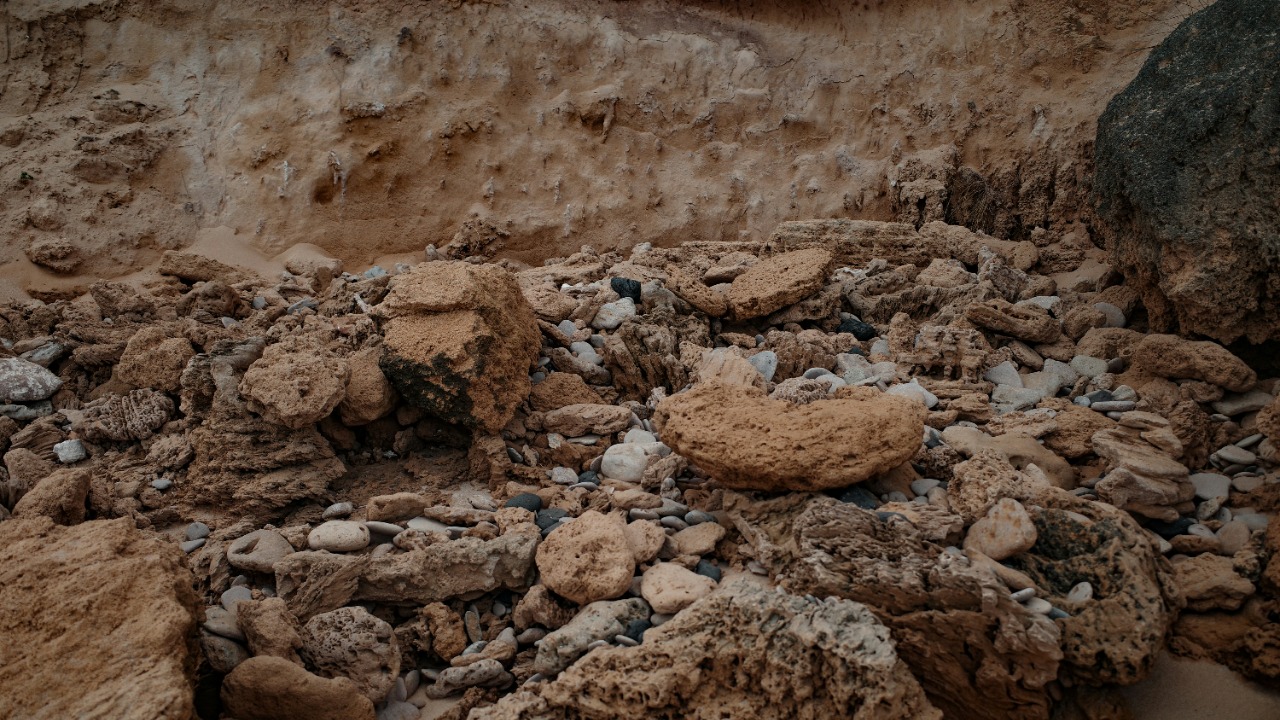 Archaeologists uncover burial site with non-human remains