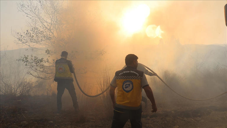 RBI monetary policy: Repo rate unchanged, growth outlook revised— 5 key ...