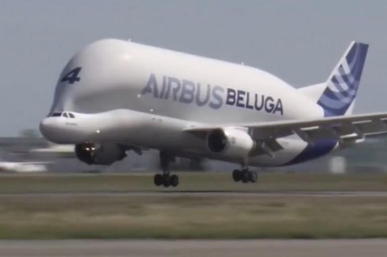 Beluga super-transporter's final flight in retirement countdown for iconic fleet