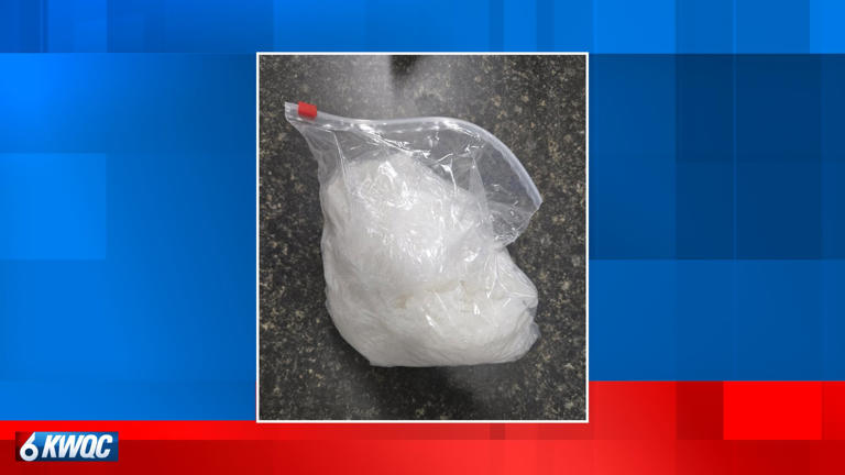Nearly 3 pounds of meth found during traffic stop, police say