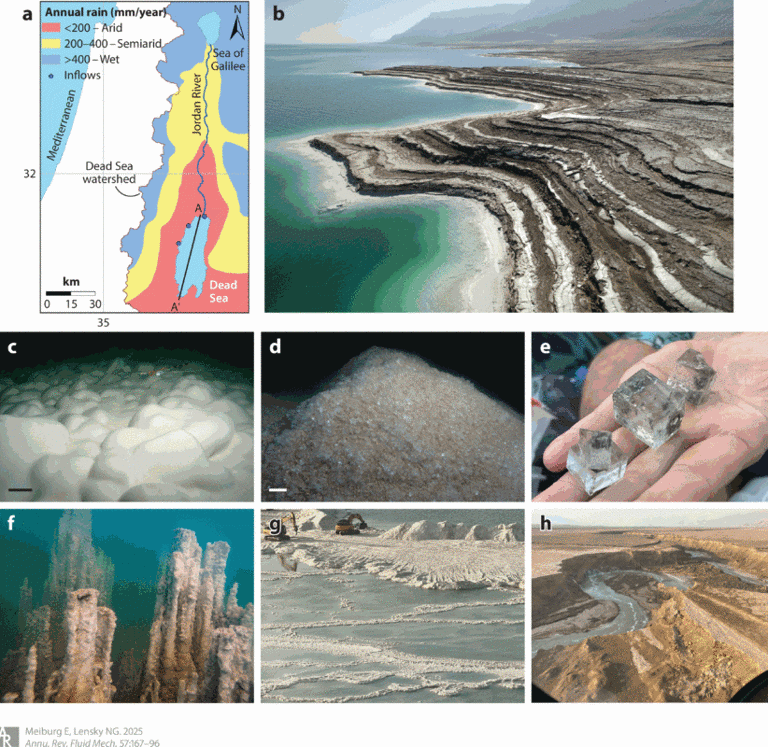 Something Bizarre Is Happening Under The Dead Sea — And Scientists Can ...