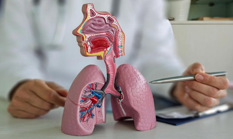 Sensory Cloud’s SC0023 reveals cough reduction in Phase II trial