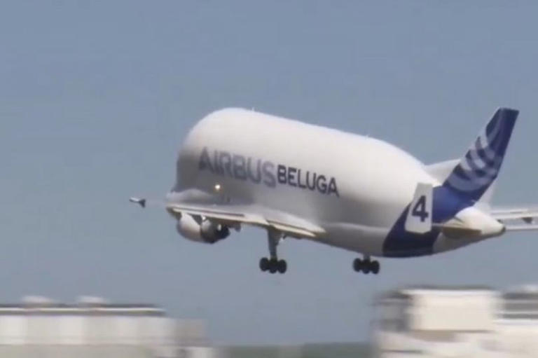 Beluga super-transporter's final flight in retirement countdown for ...