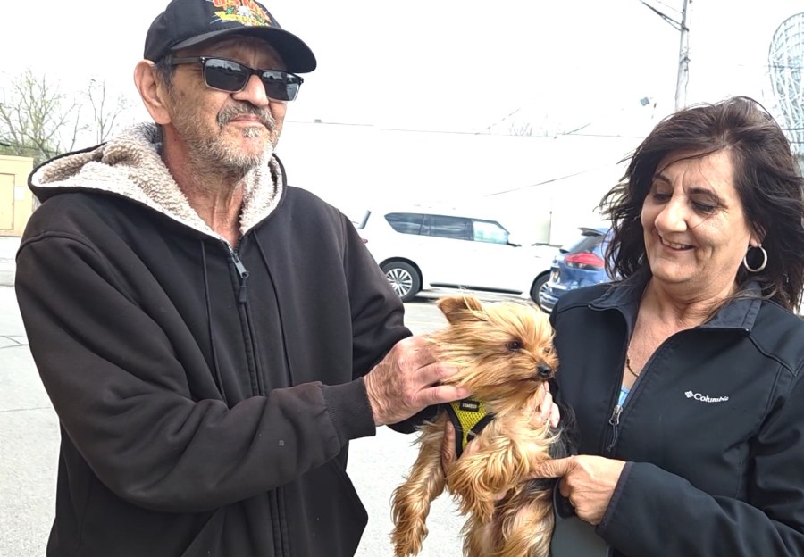 Veterinarian’s guilty plea ends 'bizarre' case over a missing dog, Benji