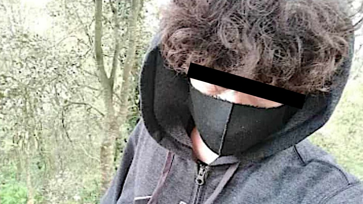 Qué significa 'chad', 'foid' y 'brocel', términos 'incel' usados por ...