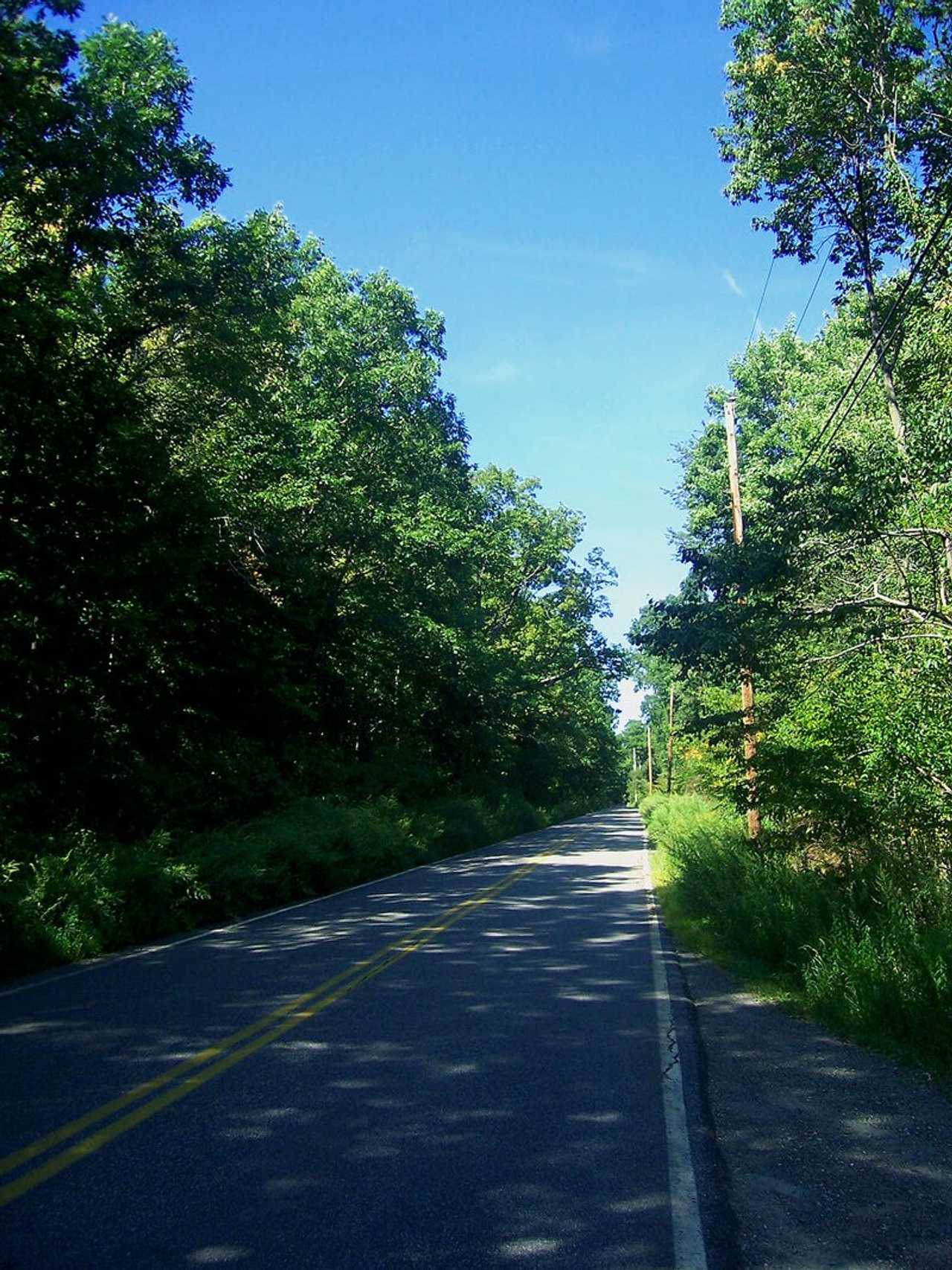 NJ Road Among World's Most Haunted — And For Good Reason