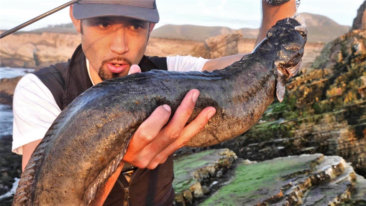 Cooking the Monkey Face Eel: A Unique Seafood Challenge
