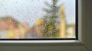 Best Storm Windows of 2025