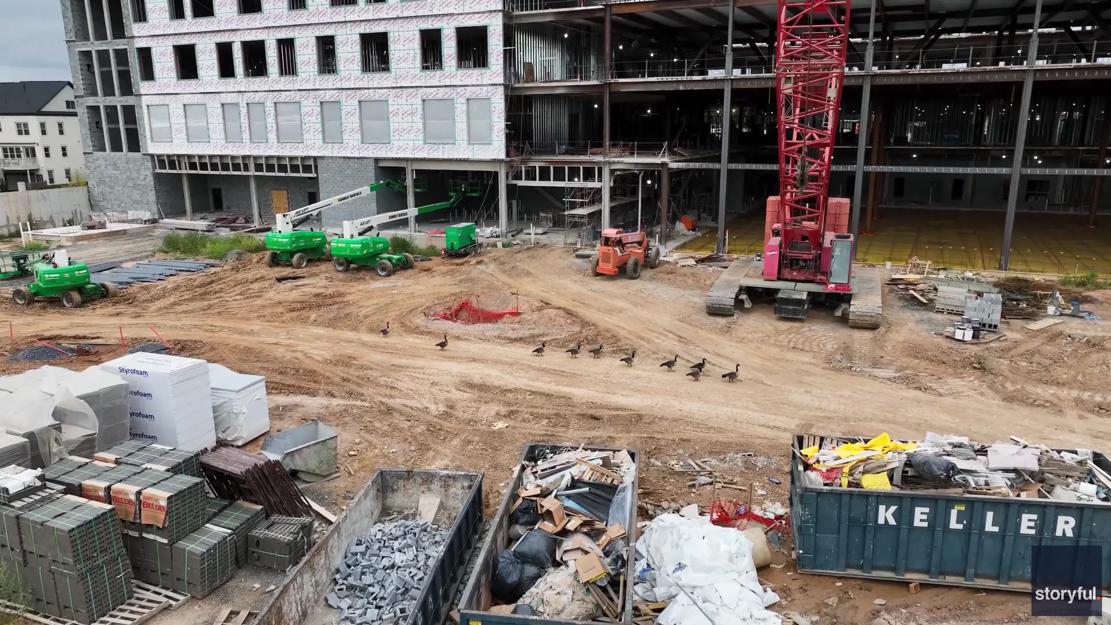 Geese Trespass at Maryland Construction Site
