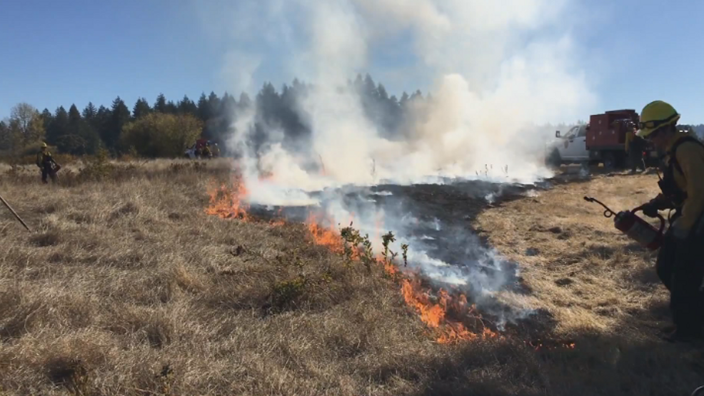 Fire season arrives early across Oregon, prompting warnings from fire ...