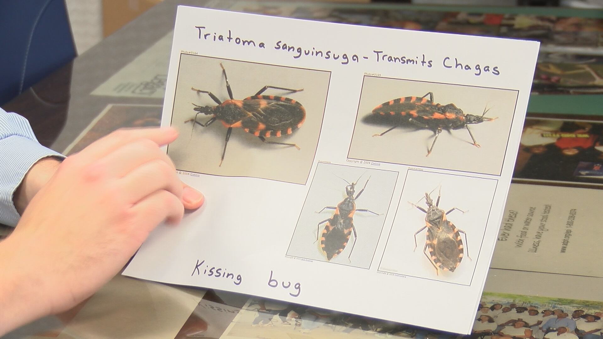 Alabama Department of Public Health warns about Chagas disease