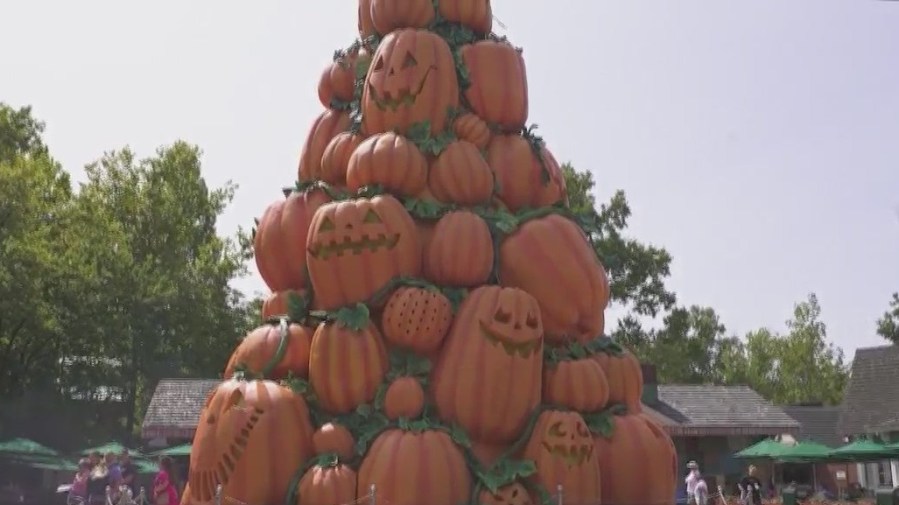 Dollywood visits FOX8 to highlight fall traditions, new $50 million ...