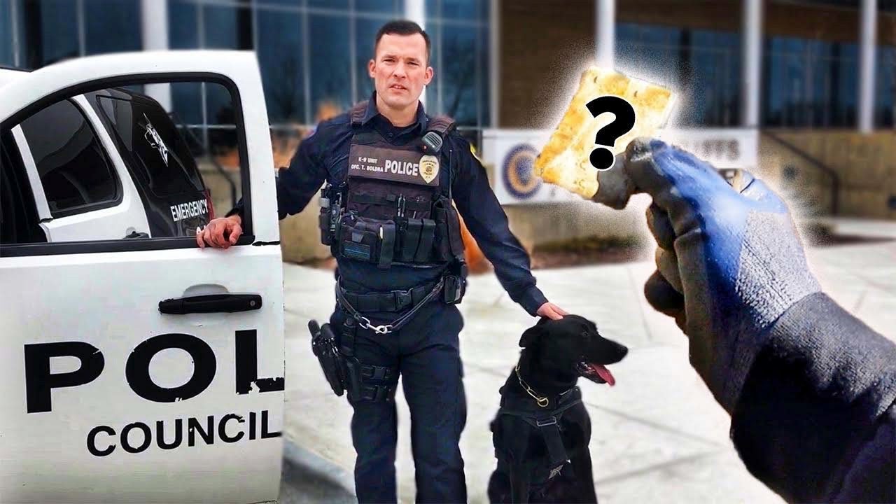 Shocking finds: Missing government property revealed!