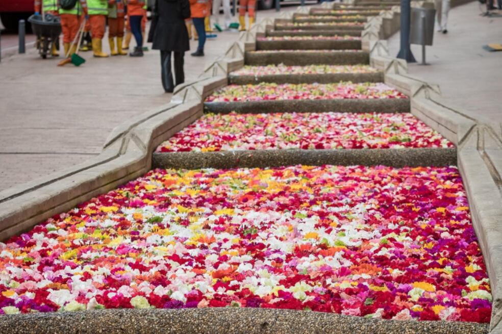 ¿Qué hicieron con las flores que adornaron el Eje Ambiental? Así terminaron