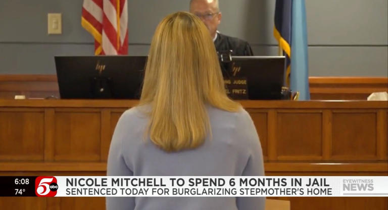 Disgraced Minnesota pol Nicole Mitchell escapes lengthy prison time ...