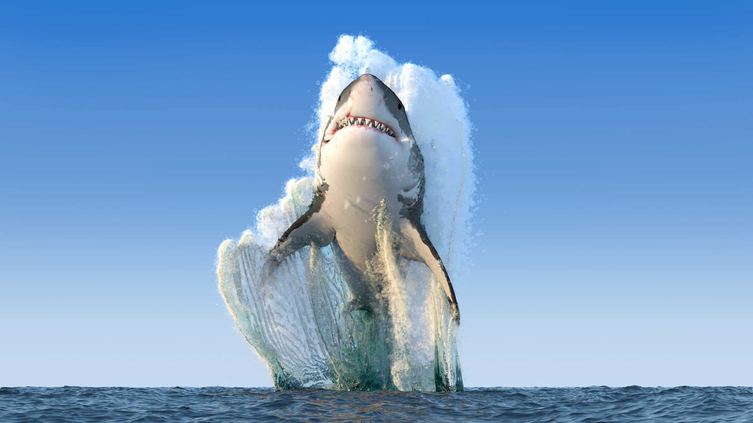 5 of the Worst Shark Attacks in Recorded History