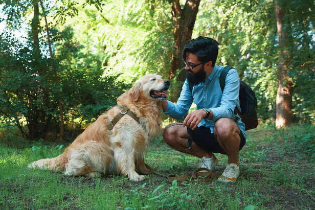Basic Commands Every Dog Should Learn for Better Training and Obedience