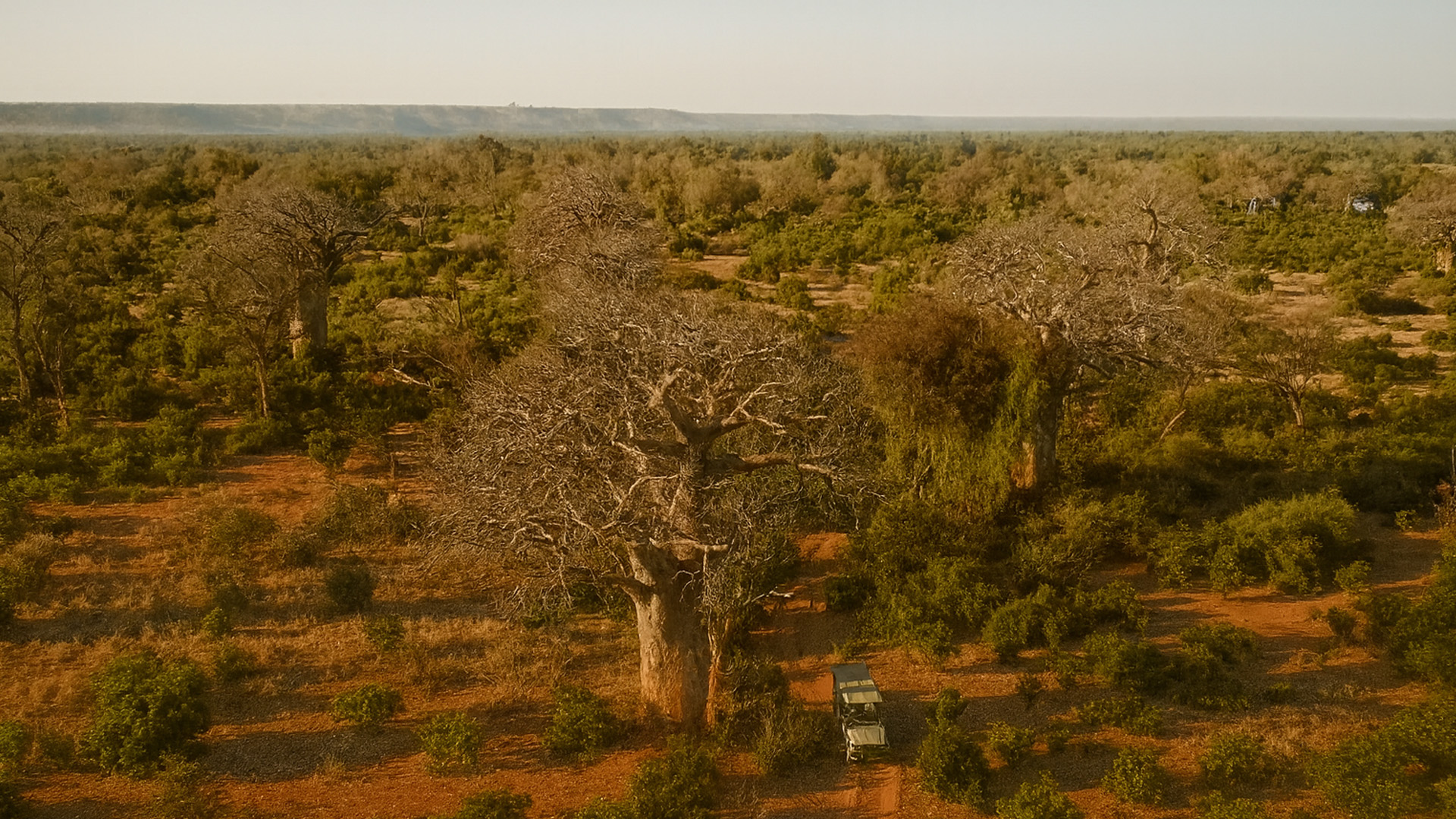 Exploring Nxai Pan National Park – Botswana in 4K