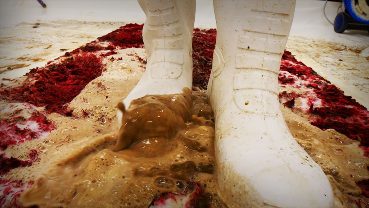 Satisfying rug transformation