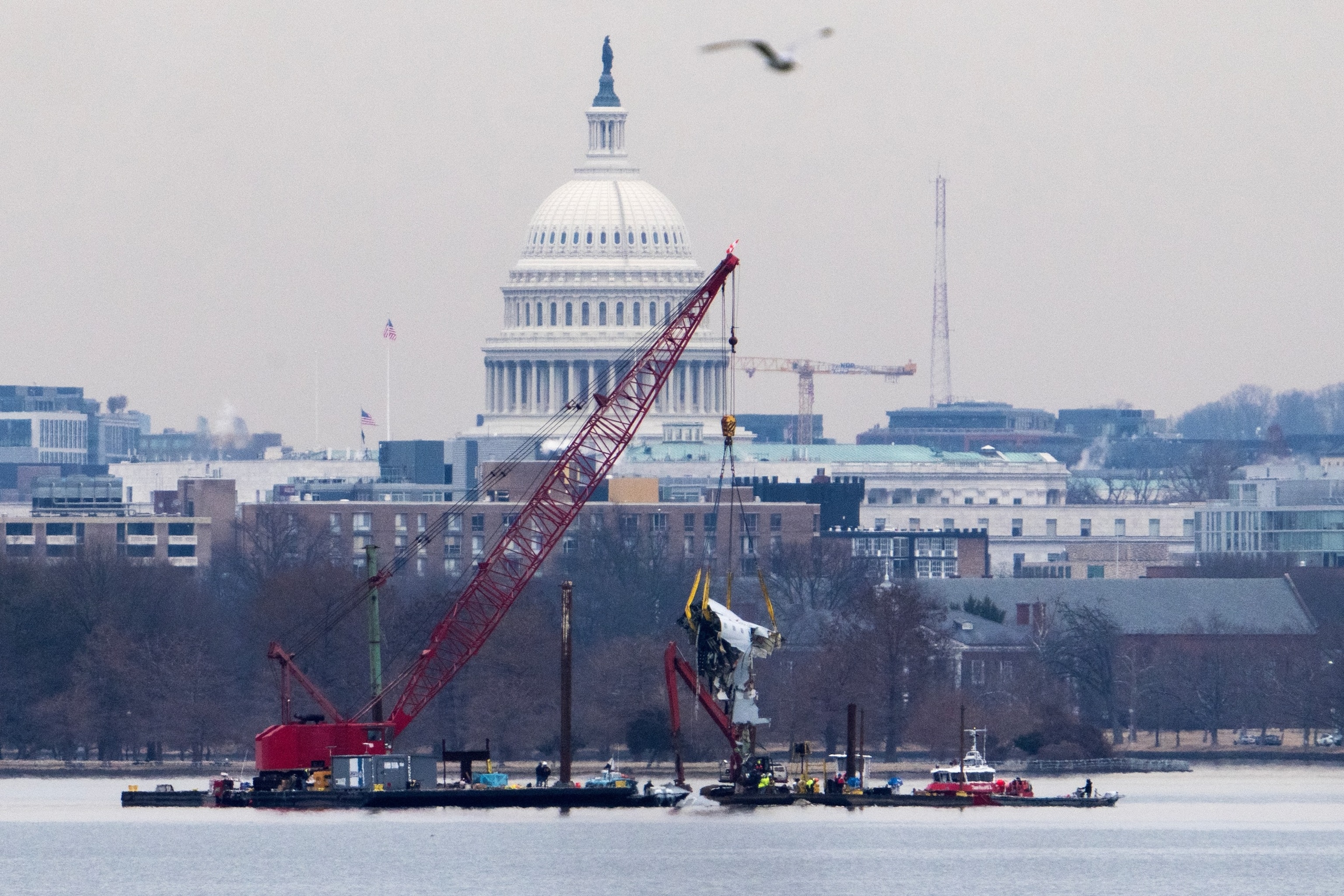 First lawsuit over DC plane crash blames the airline, the FAA and the Army