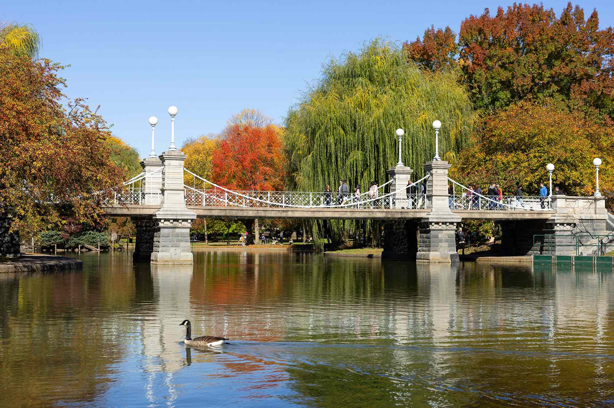 Spirit Airlines Has $44 Flights to Popular Fall Foliage Destinations ...