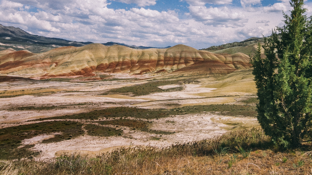 Painted Hills golden hour spots only locals know