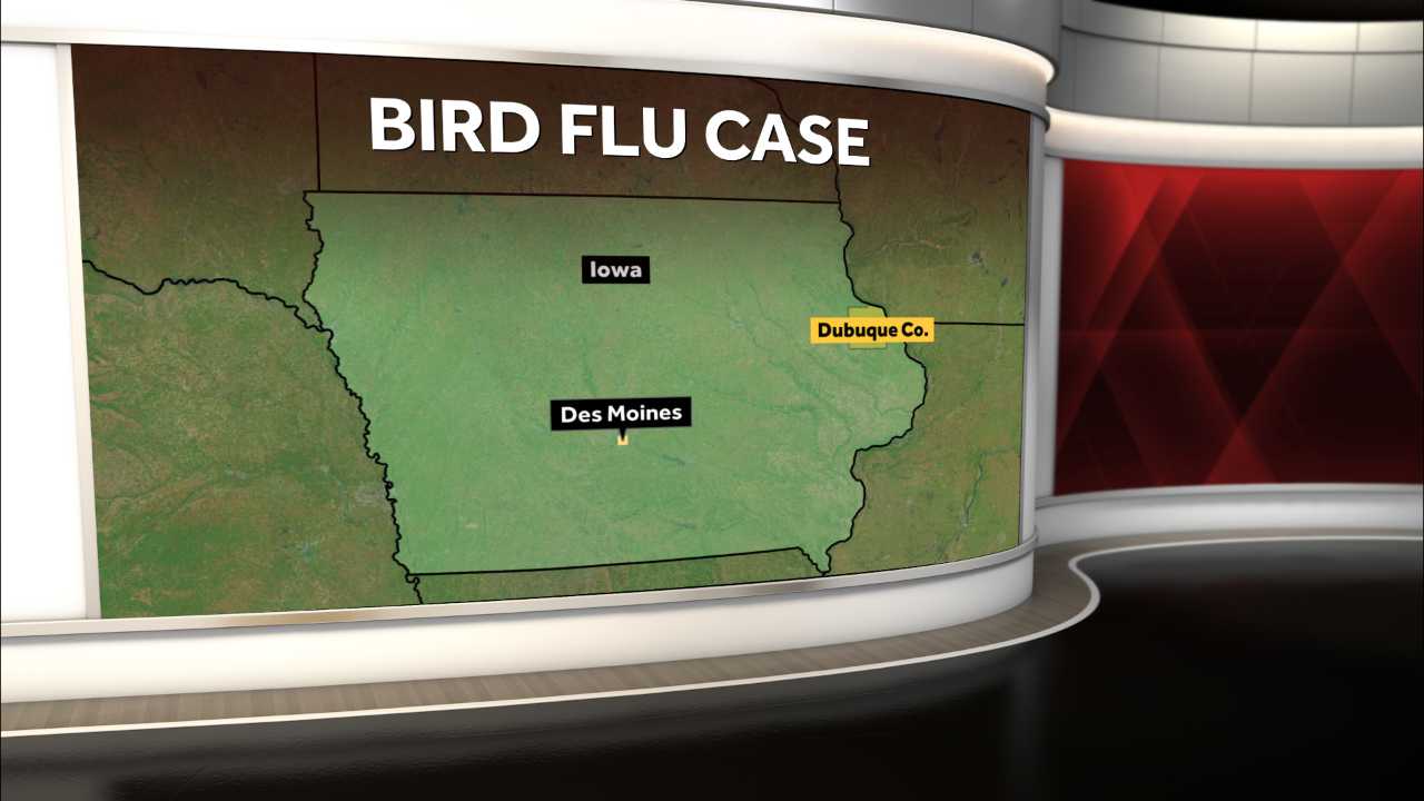 Iowa DNR confirms bird flu among Canada geese