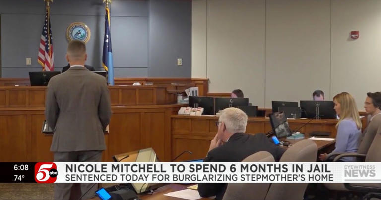 Disgraced Minnesota pol Nicole Mitchell escapes lengthy prison time ...