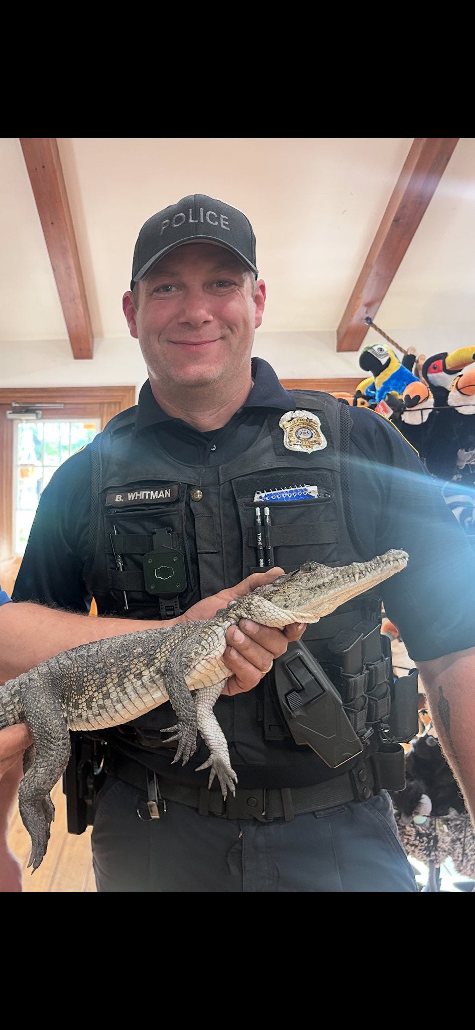 Bay County police find crocodile sunning itself. What they did with the ...
