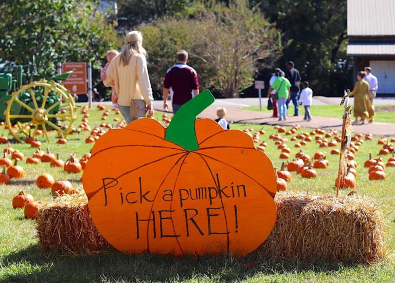 Pumpkin Adventure returns to Mississippi Ag Museum in October