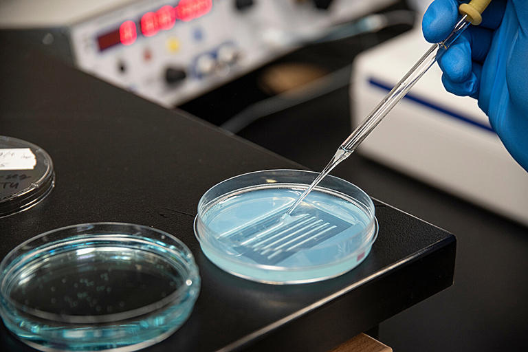 Zebrafish models offer fast, effective guidance for personalized ...