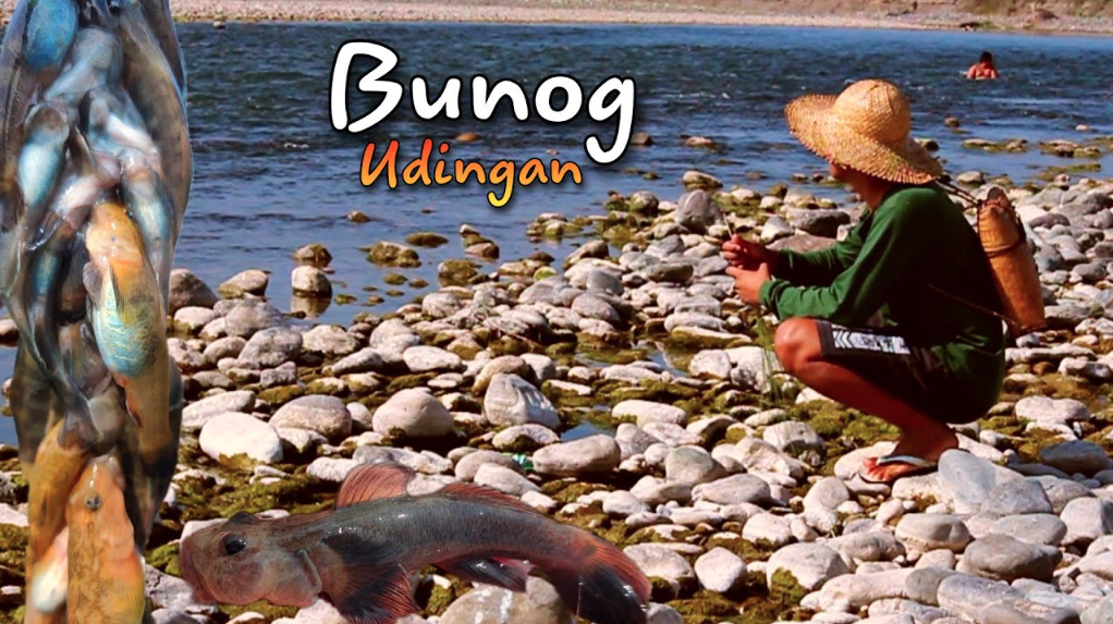 Catch and Cook Bunog Fish | Countryside River Life in the Philippines