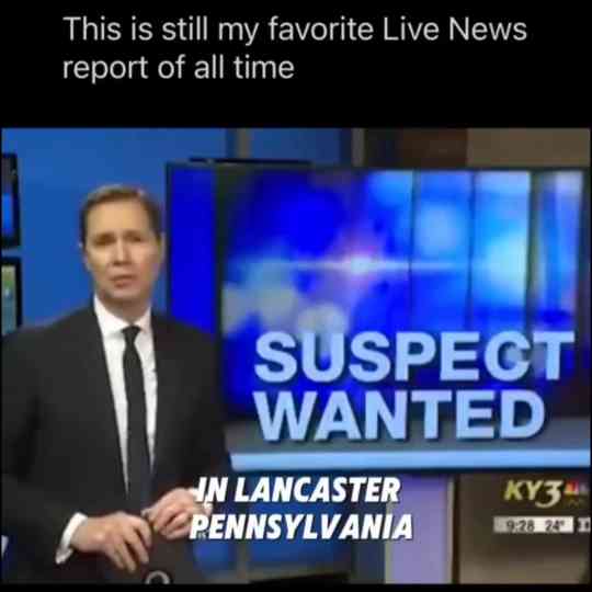 This News Reporter Couldn't Keep It Together When He Saw This Police Sketch