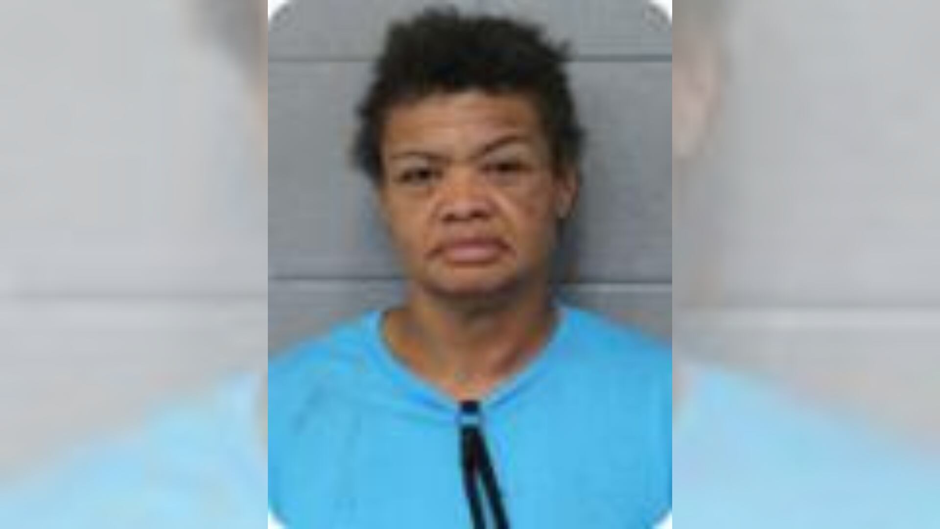 Blue Springs woman accused of setting hotel room on fire, leaving dog ...