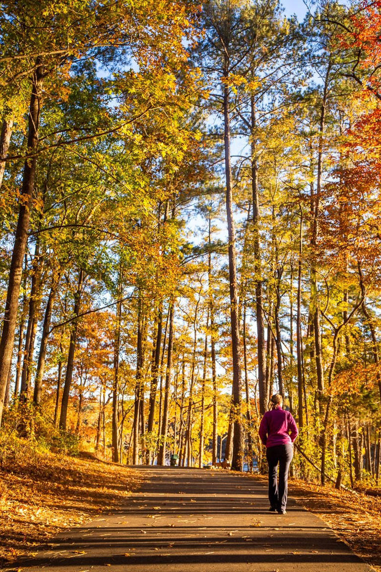 Where To See Fall Colors In Raleigh & The Triangle Region