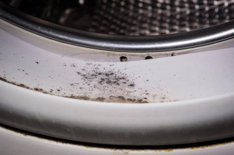Cleaning expert shares ultimate 'trick' to stop washing machine mould ...