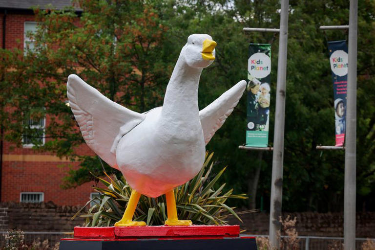 'Goosey has been an iconic figure for many years - anti-social ...