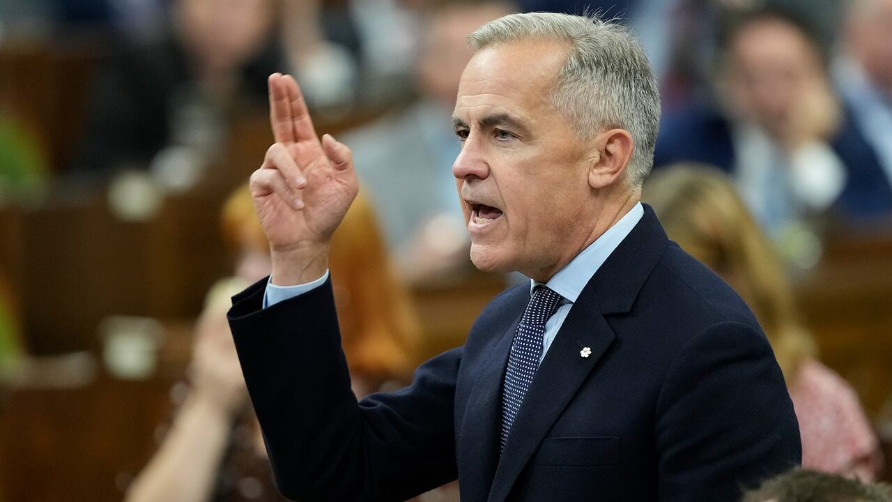 Carney defends gun buyback after leaked audio of minister doubting ...
