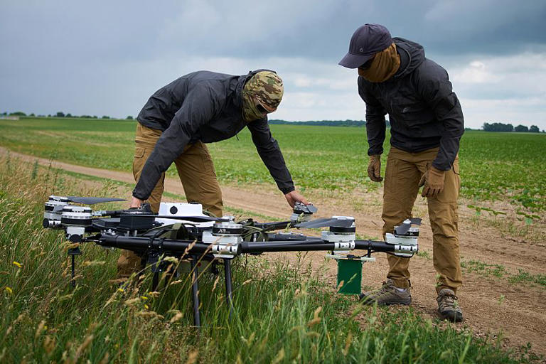 Dire Wolves Return: Romulus and Remus Mark First Birthday as Science ...
