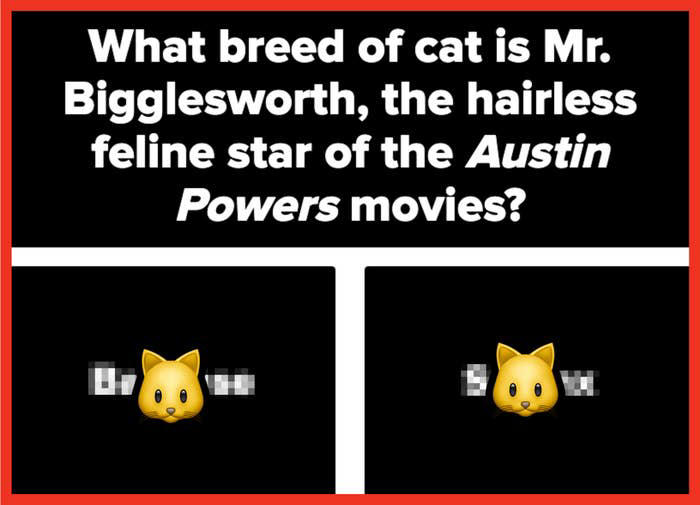 If You Think You're Smarter Than The Average Person, Prove It By ...