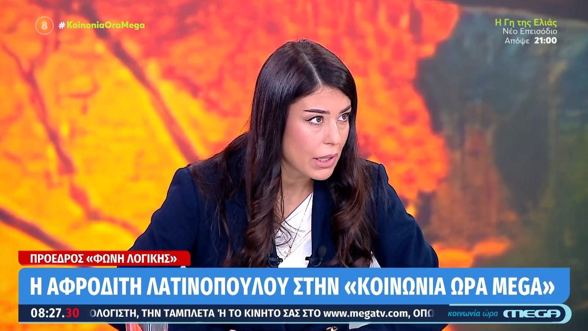 Αφρ. Λατινοπούλου: «Δεν είναι εικόνα αυτή για το μνημείο του Αγνώστου ...