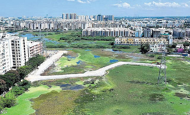 NGT bars CMDA from issuing building approvals near Pallikaranai marshland