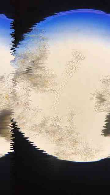 Trippy Fish Tank Vibes Under the Microscope