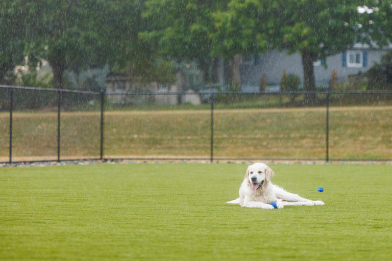 New hangout for Hanover's hounds: YMCA opens first dog park in the borough
